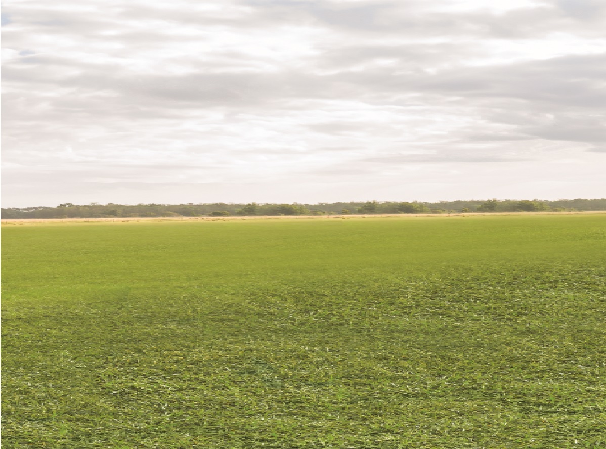 2020-03 Grass background image – Huron Tractor